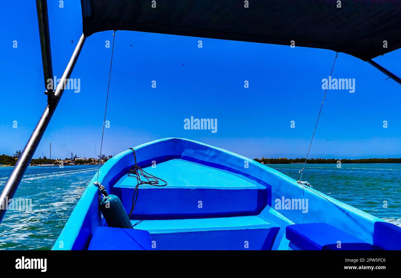 Boat trip with speed boat or ferry from Chiquilá to Isla Holbox island ...