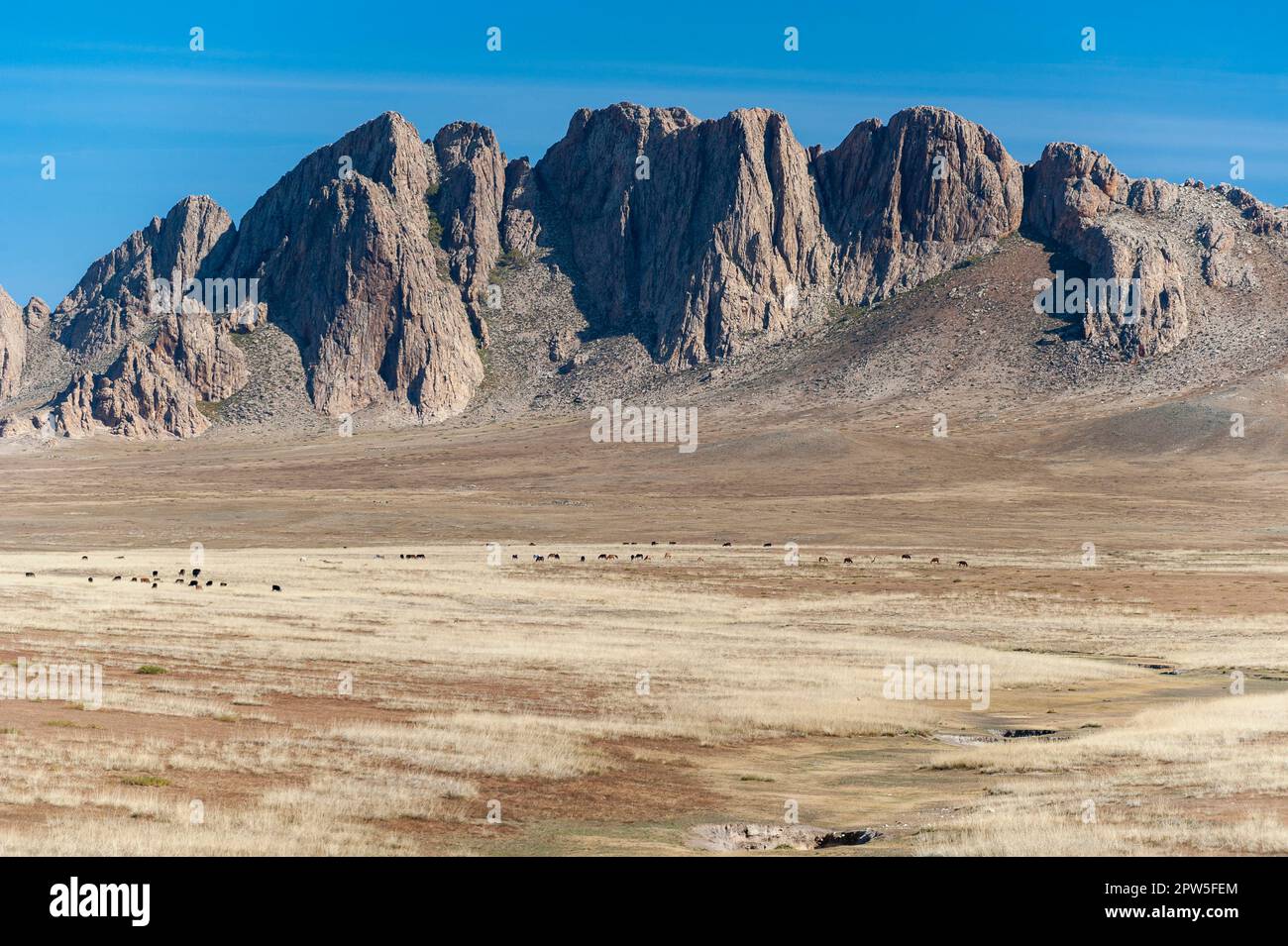Rock formation on the horizon in the steppe landscape of the Gobi ...