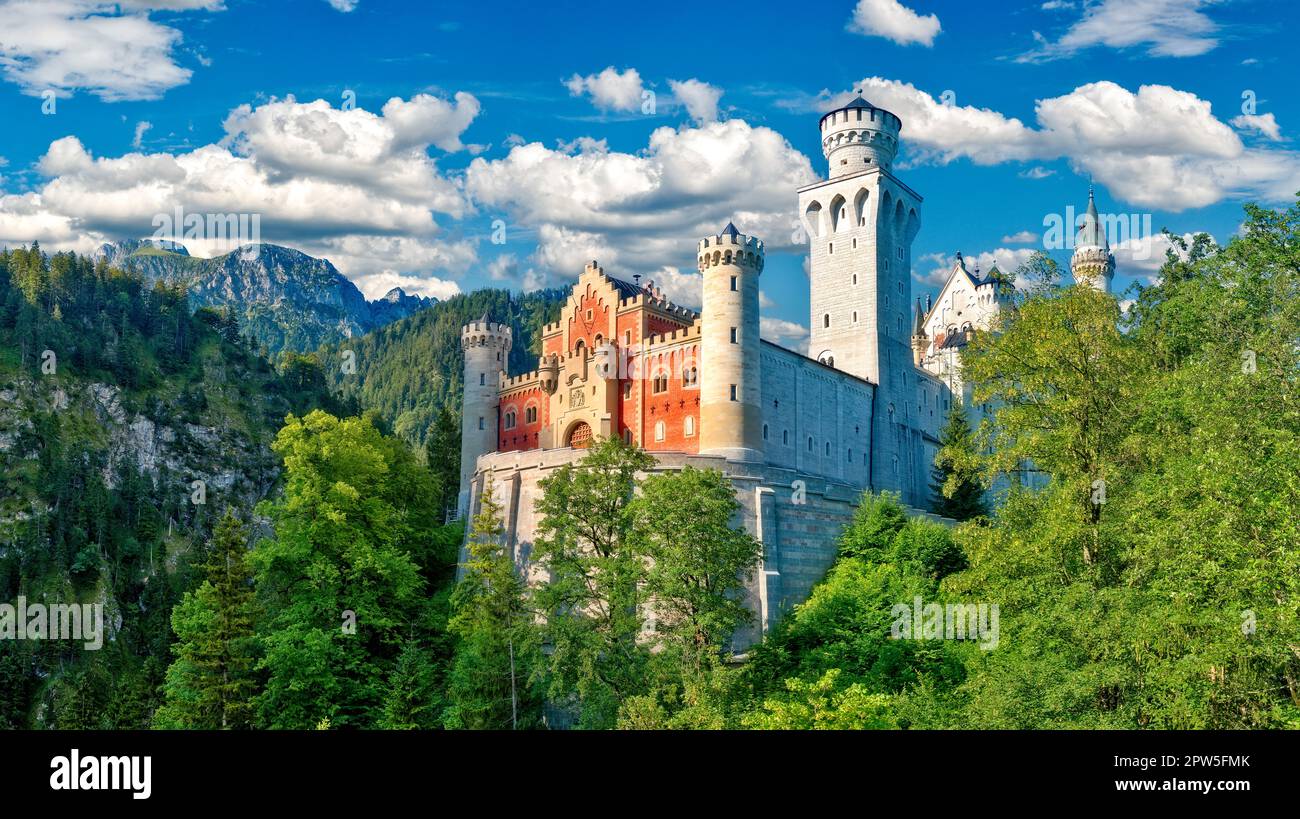 Neuschwanstein castle in sunny summer weather in lower view Stock Photo ...