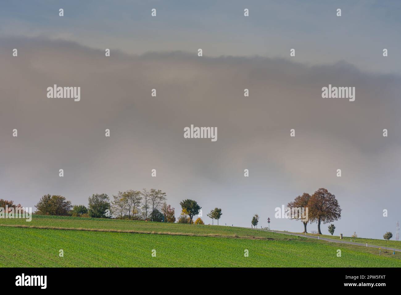 Darkness taking over hi-res stock photography and images - Alamy