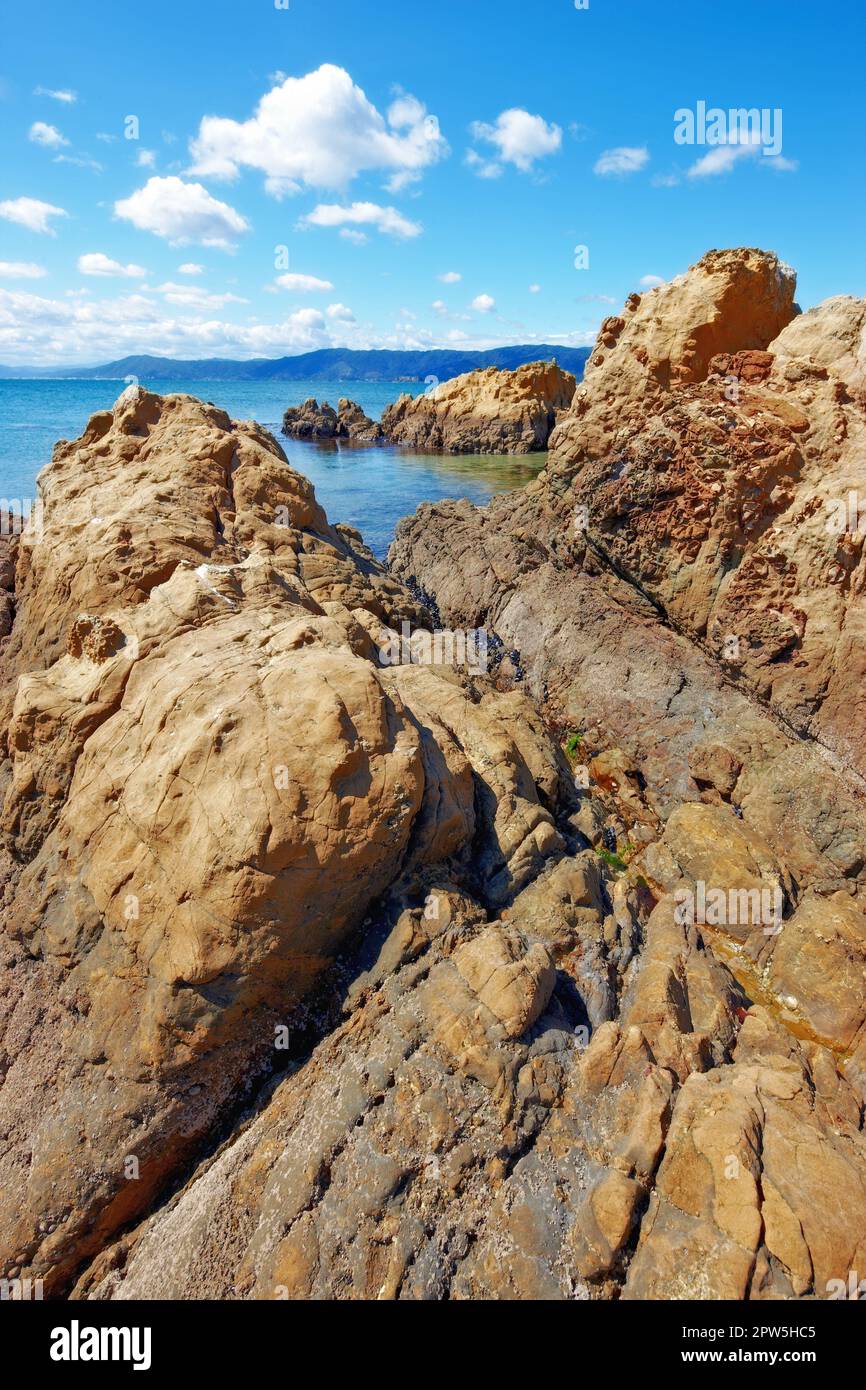 Karaka island hi-res stock photography and images - Alamy