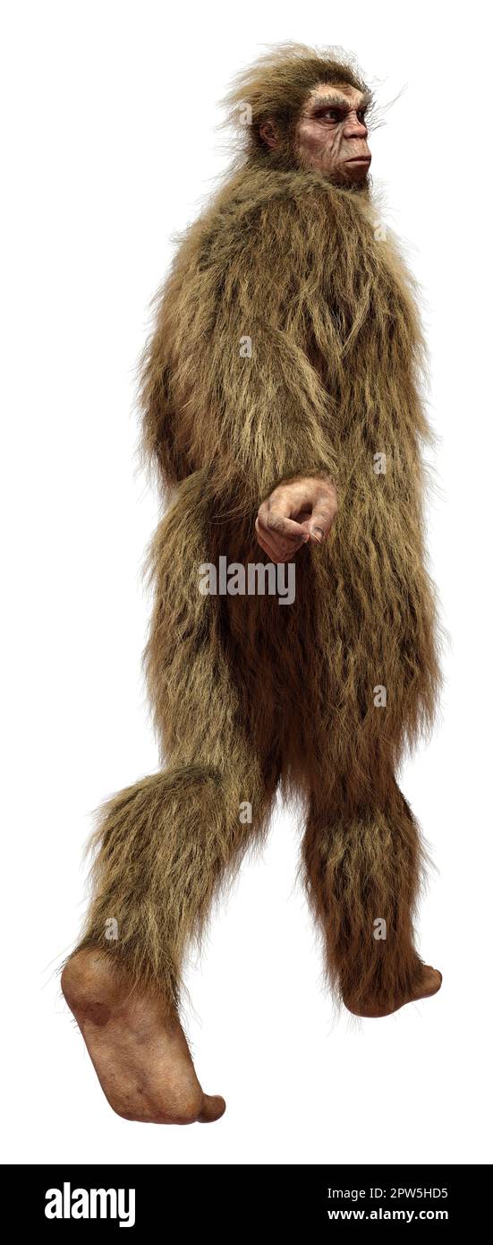 3D rendering of a Sasquatch or Bigfoot isolated on white background ...