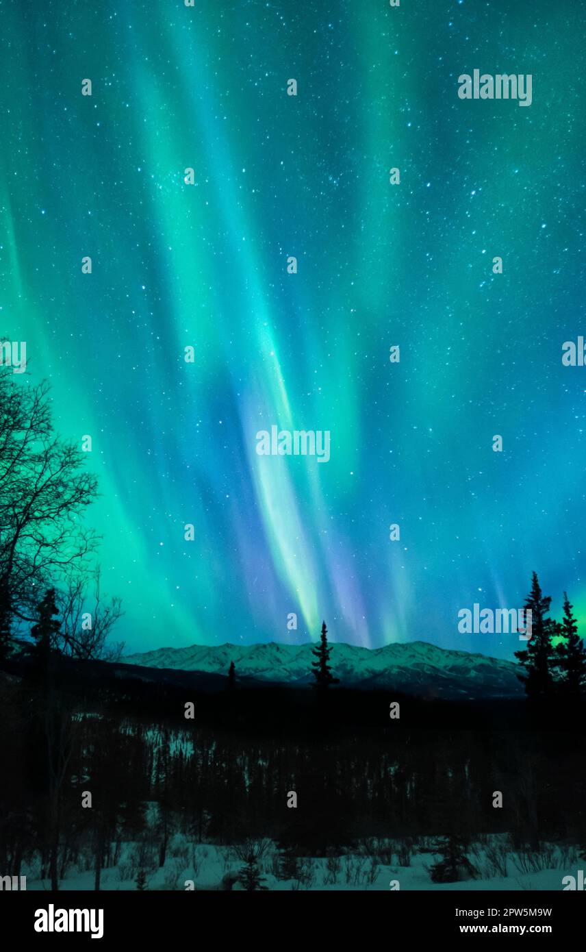 North America; United States; Alaska; Alaska Range Mountains; Winter ...