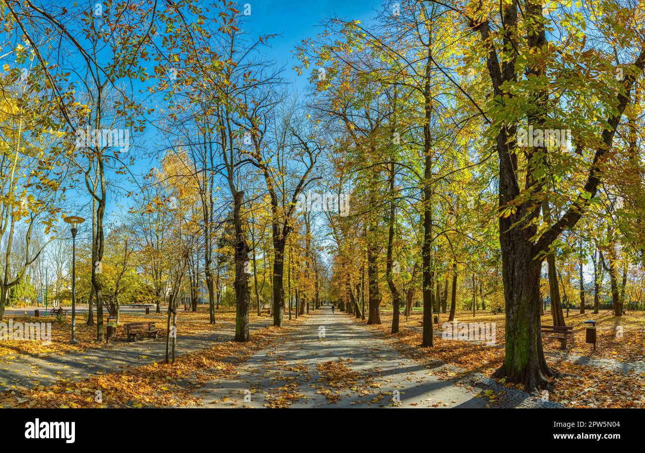 A picture of the fall foliage at the Stanislaw Staszic Municipal Park ...