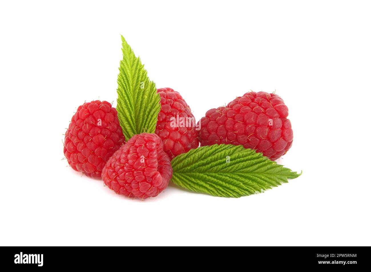 Red ripe raspberry berries with green leaves. Side view, isolated on ...