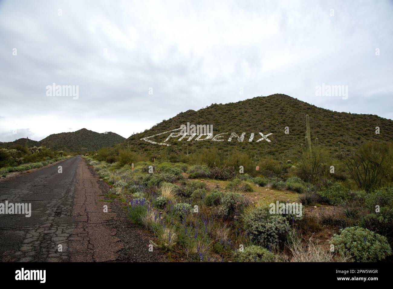 Sign for Phoenix painted on hillside outside Phoenix, Arizona Stock ...