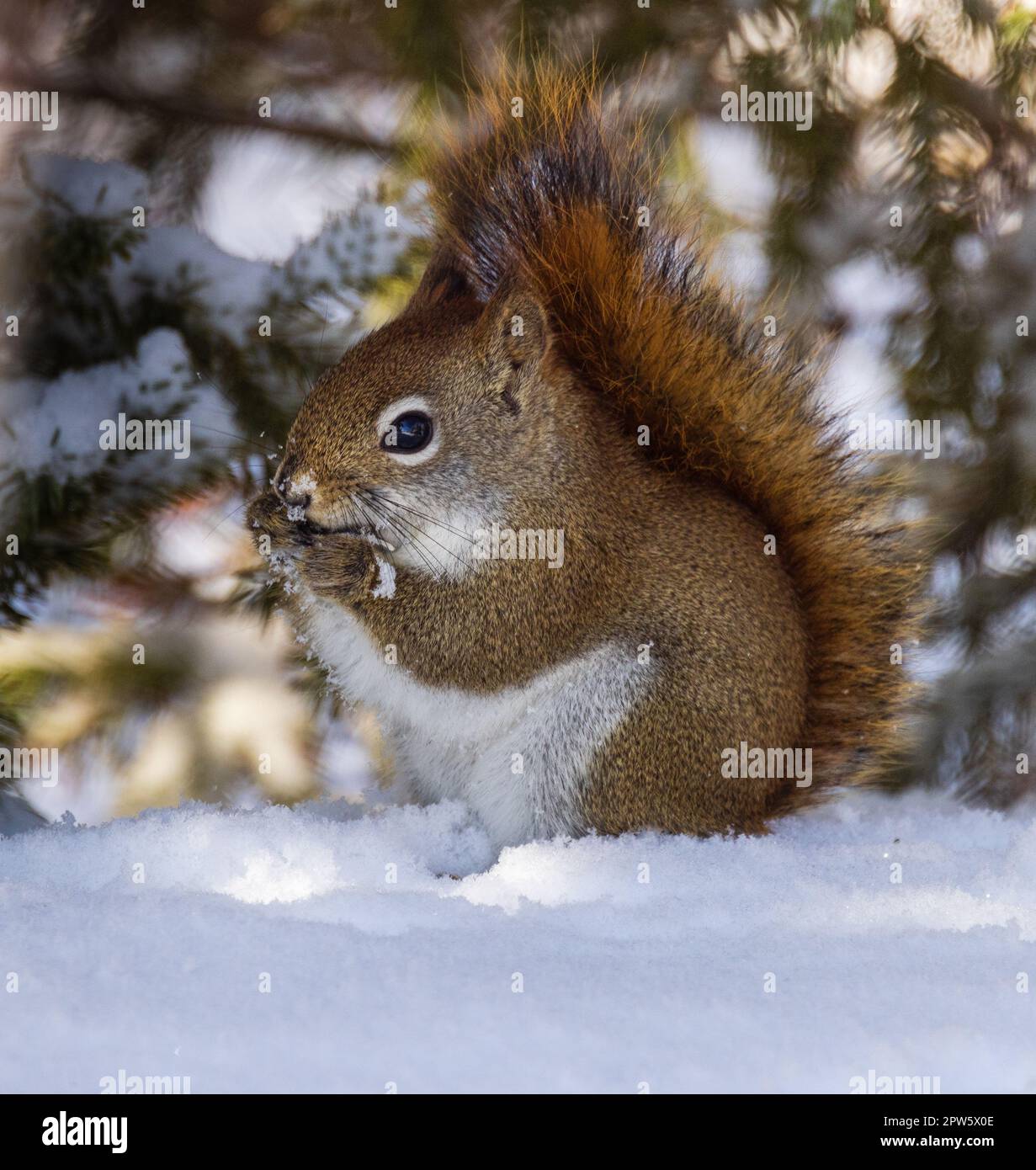 Wisconsin northern bay hi-res stock photography and images - Alamy