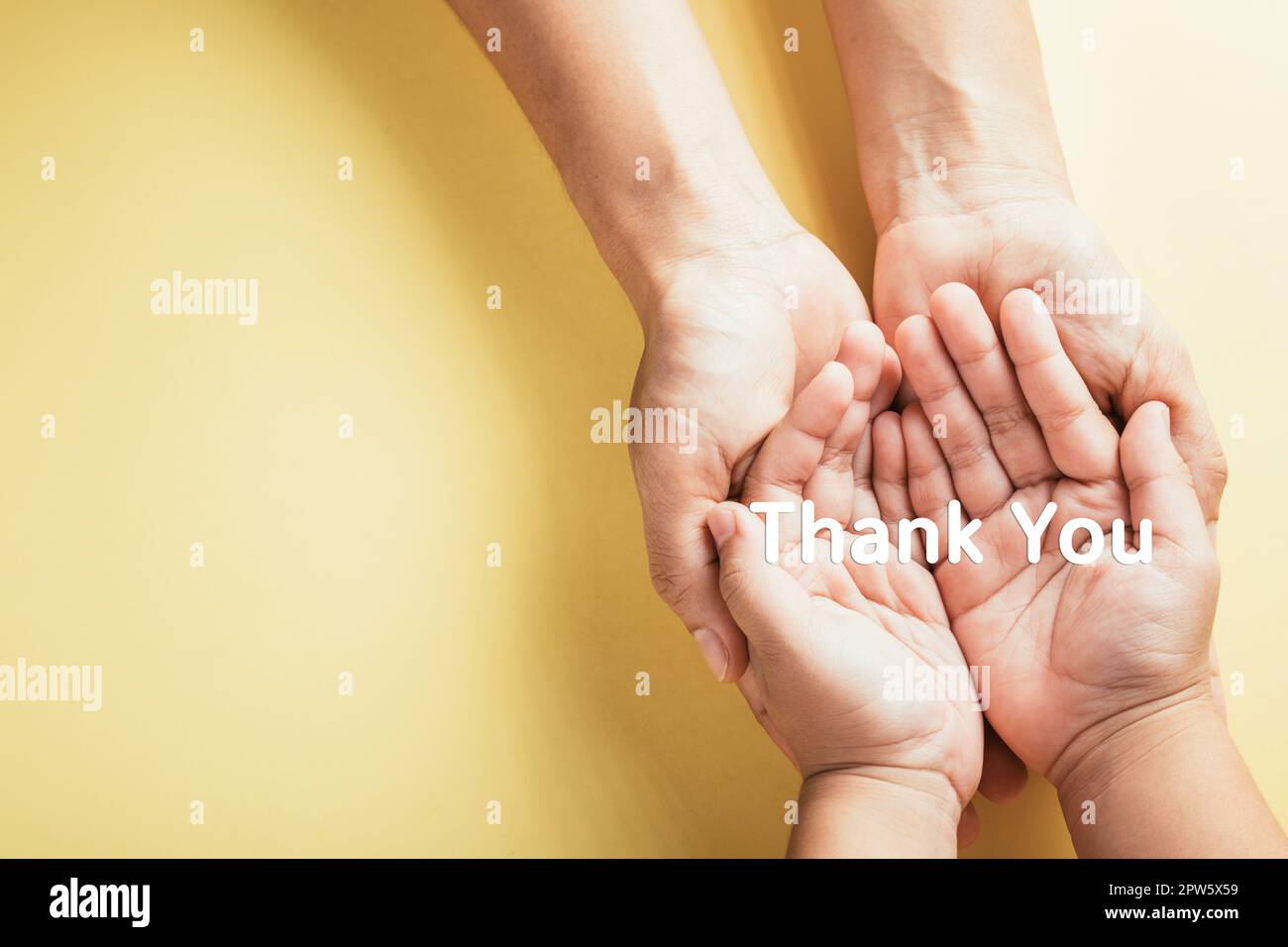 THANK YOU. Family hands holding white thank you text studio shot ... THANK YOU. Family hands holding white thank you text studio shot ...