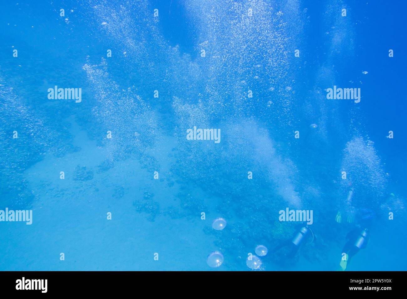 Group of scuba divers with the equipment over coral reef on the bottom ...