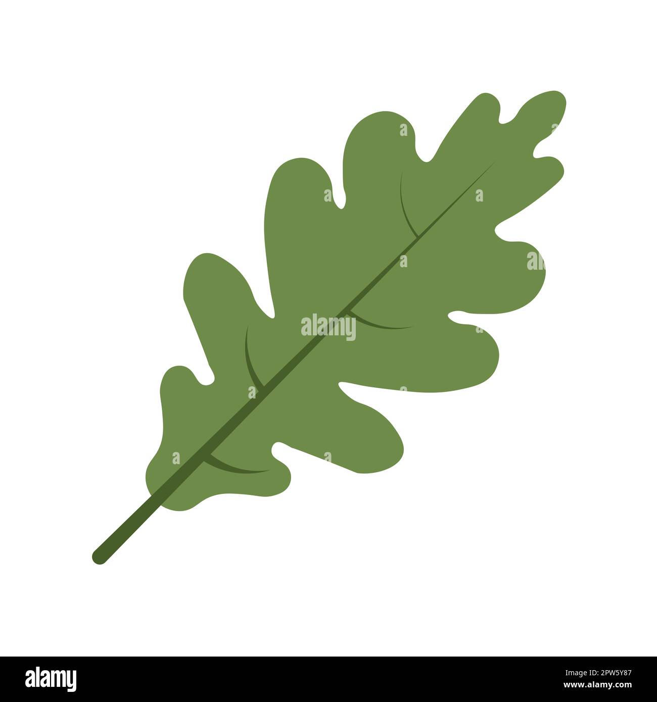 Oak leaf in isolated on white background vector Stock Vector Image ...