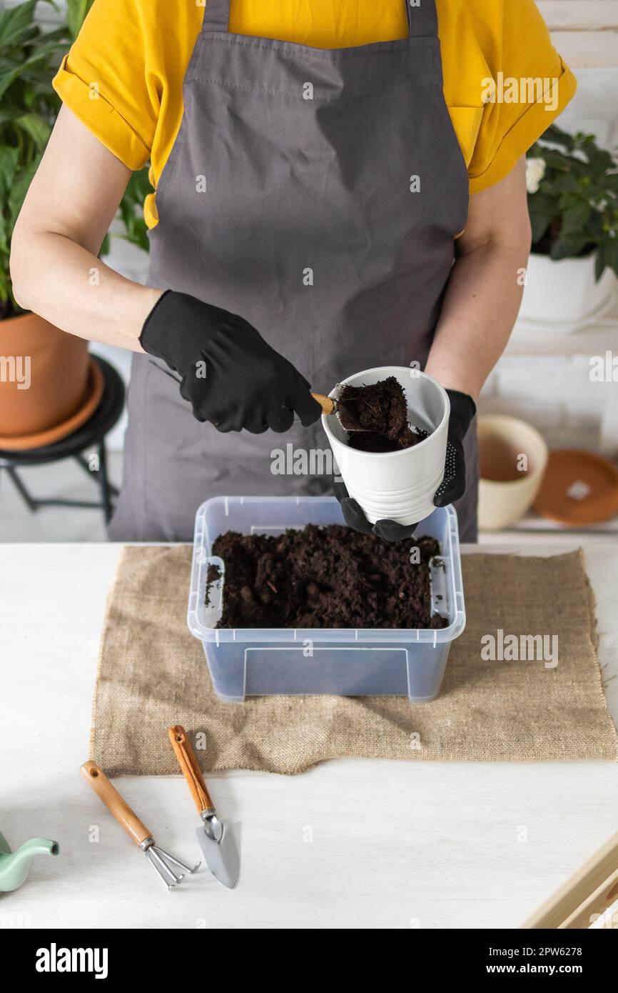 Spring Houseplant Care, repotting houseplants. Waking Up Indoor Plants ...