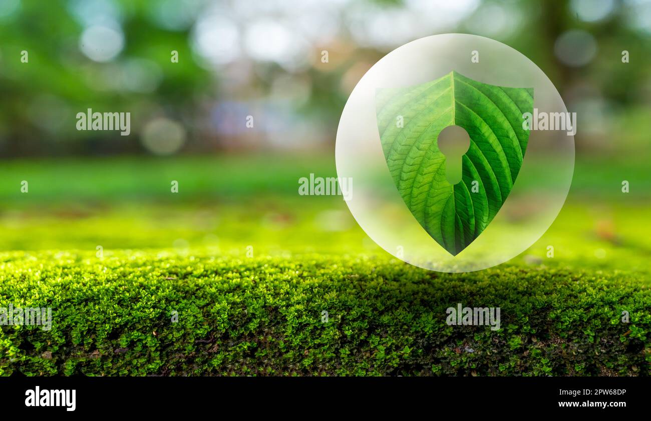 The green shield protects nature and protects the environment Stock ...
