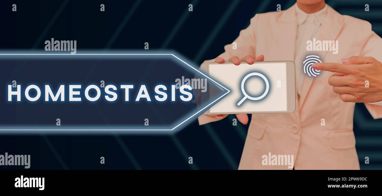 Conceptual display Homeostasis, Business overview the tendency toward a ...