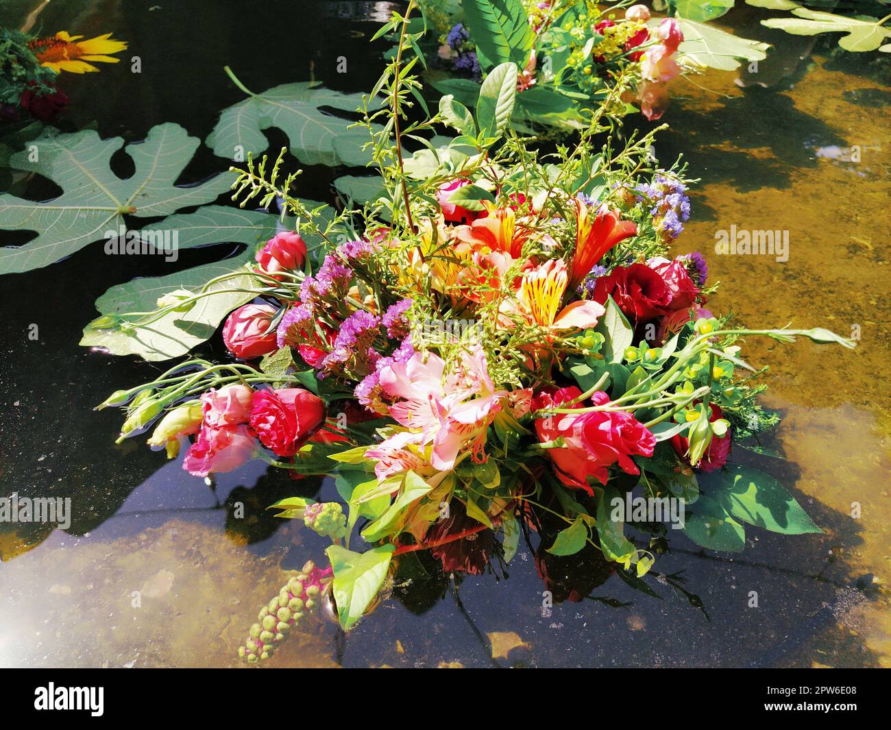 pink and red roses in a bouquet floating in the water of a fountain ...