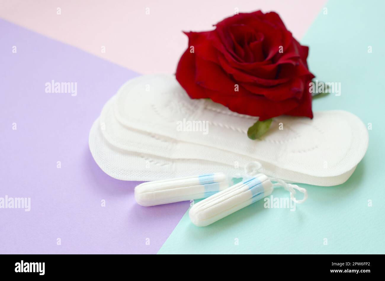 Menstrual pads and tampons and red rose flower on multicolored ...