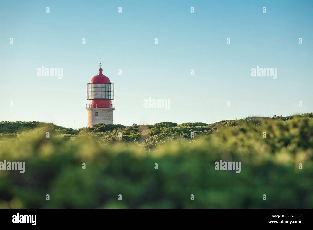 Cape Saint Vincent Lighthouse tower emerging from soil vegetation ...