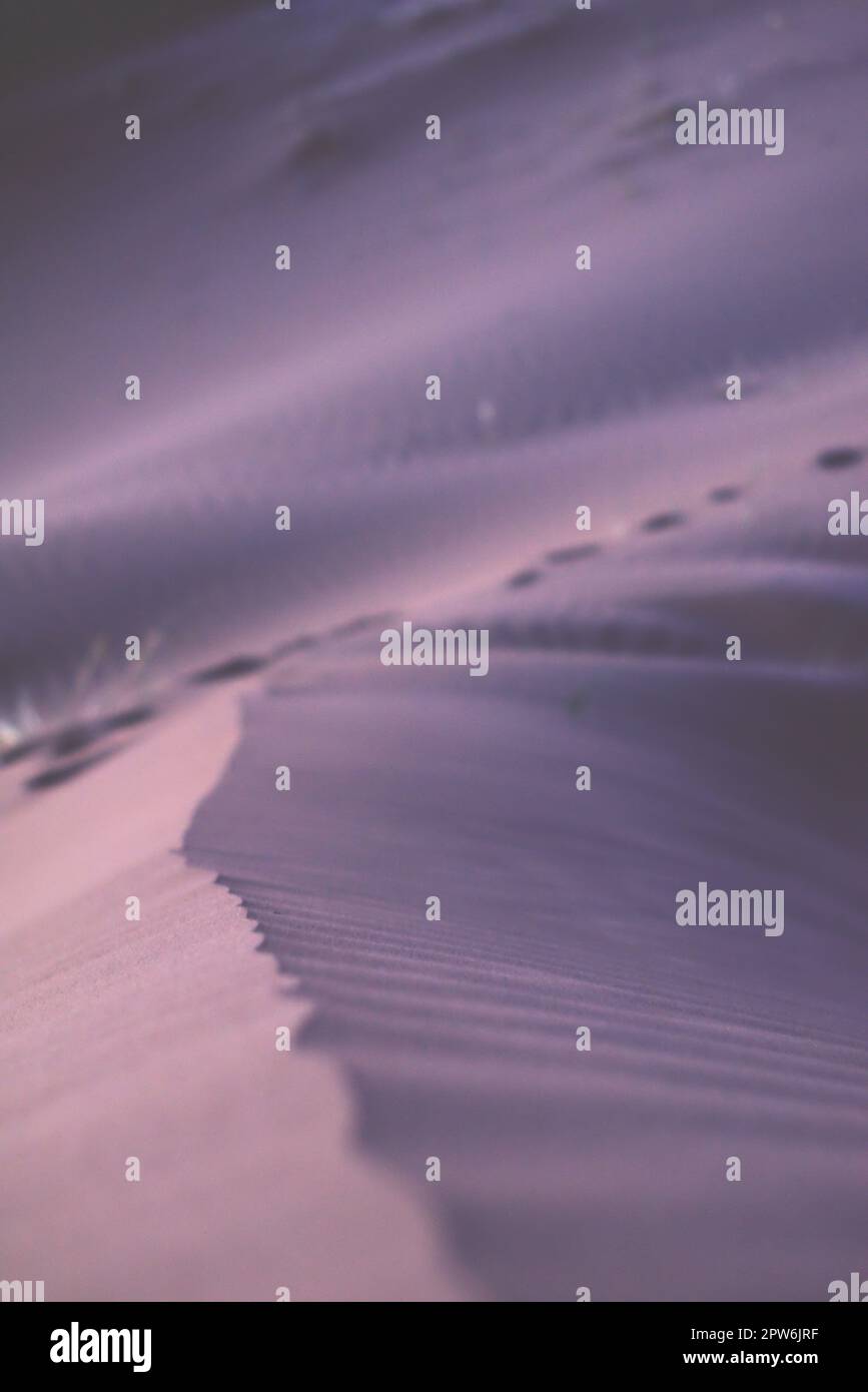 Purple sand dunes in the desert at nightfall Stock Photo - Alamy