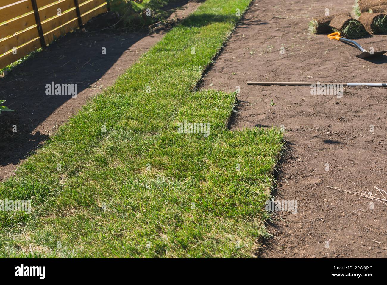 Laying sod for new garden lawn - turf laying Stock Photo - Alamy