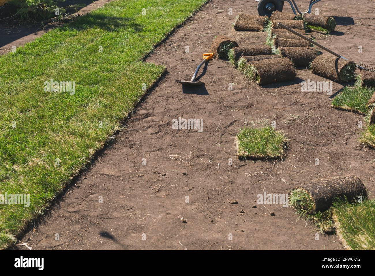 Laying sod for new garden lawn - turf laying Stock Photo - Alamy
