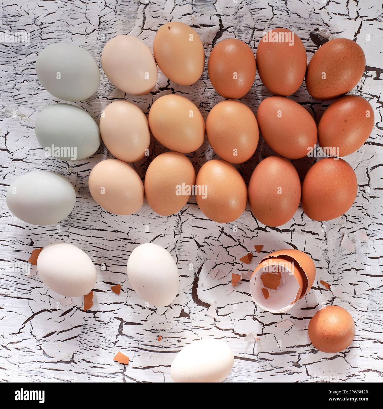 Various Chicken Egg Color, Different Shade of Eggs. Natural Organic ...