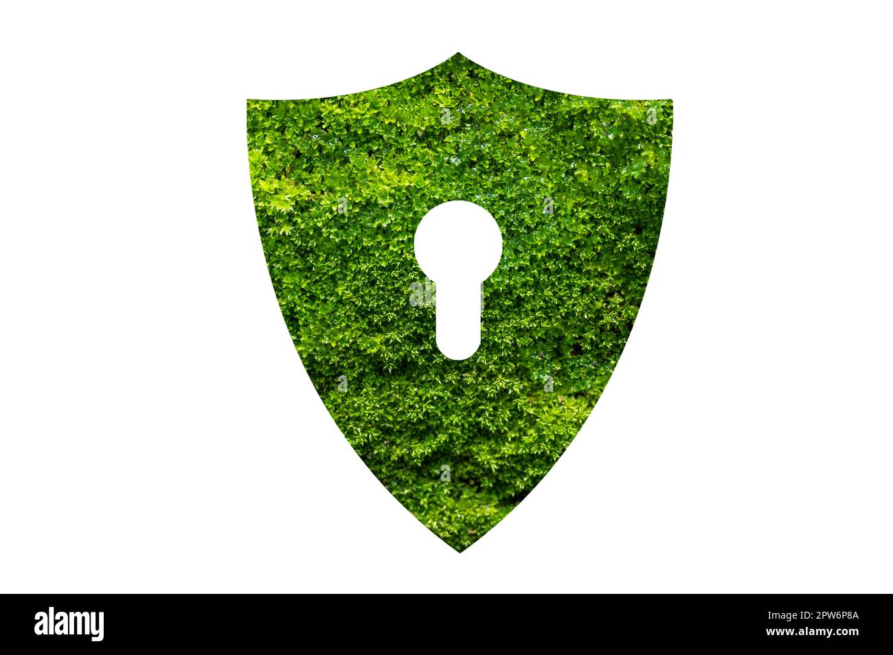 Green shield protects nature and protects the environment on white ...