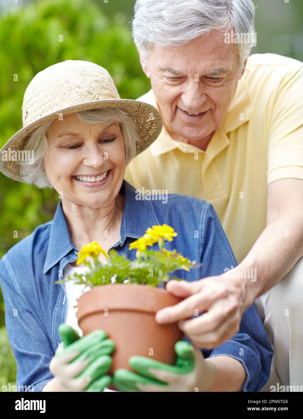 Your flowers are looking splendid. A lovely senior woman showing her ...