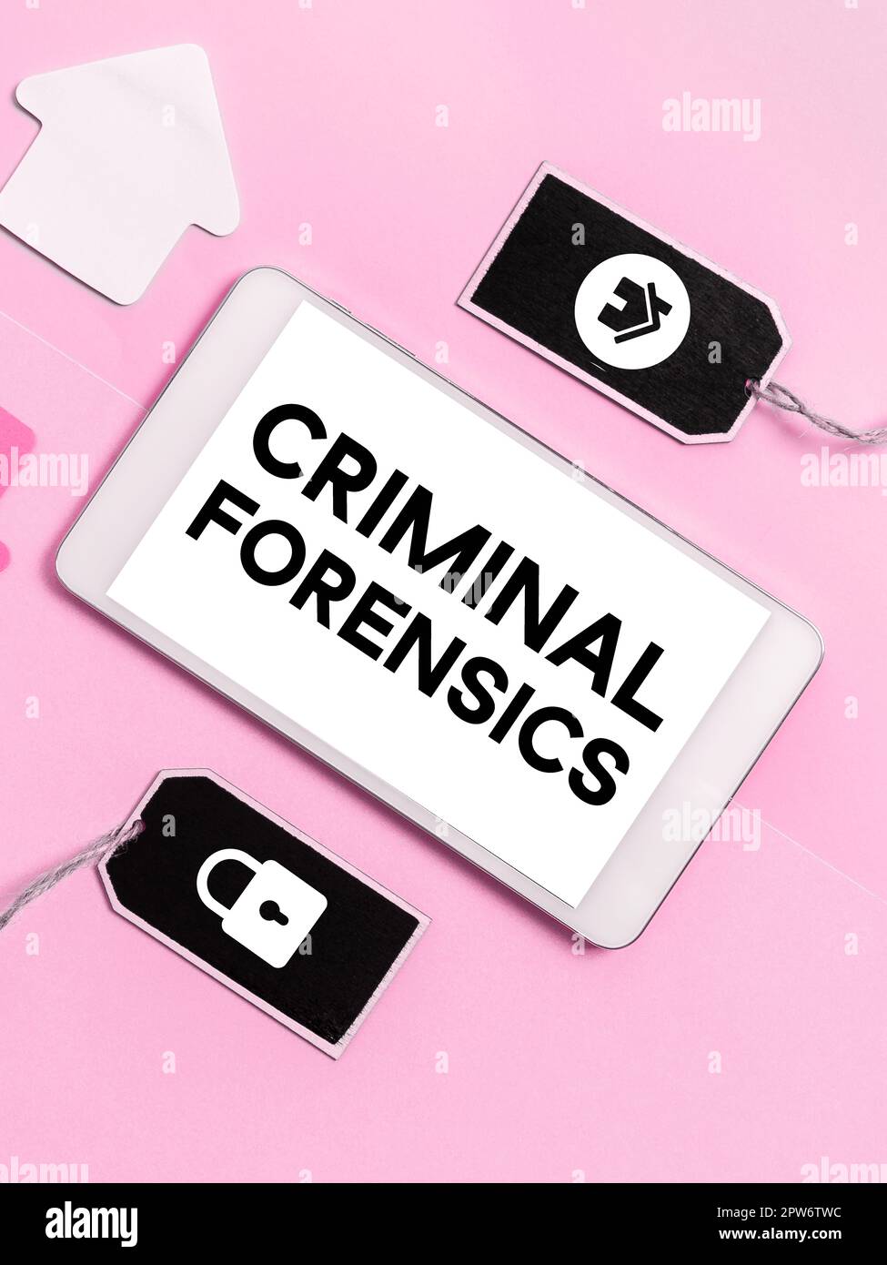 Text caption presenting Criminal Forensics, Conceptual photo Federal ...
