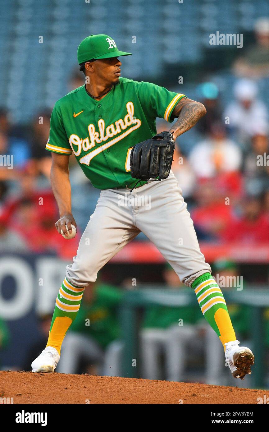 Luis Medina Baseball