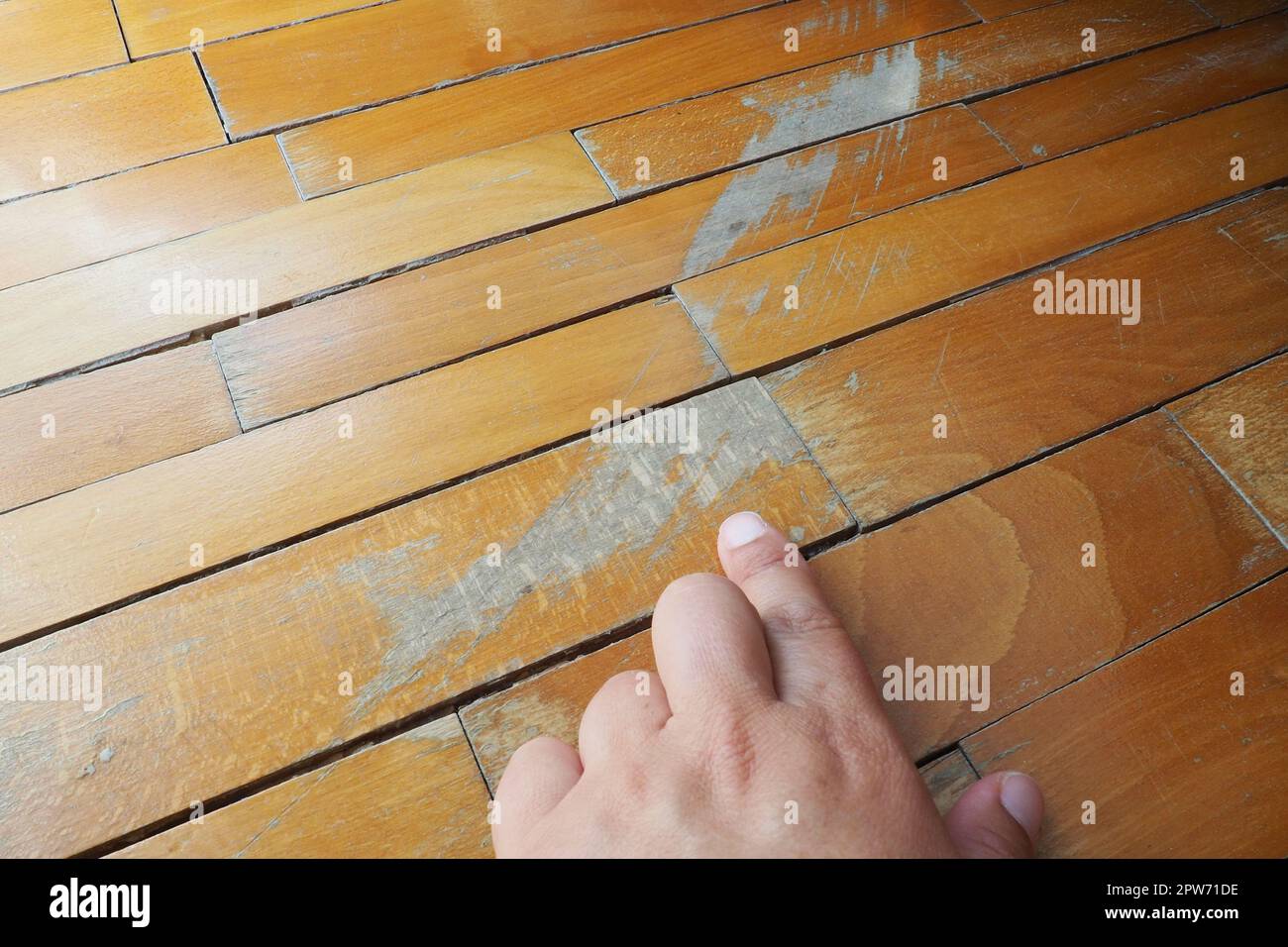 Old, scratched parquet flooring needs maintenance. the parquet is ...