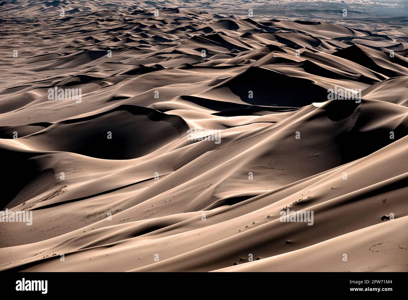 Sand dunes in the Gobi desert, Mongolia in the oblique light of the sun ...