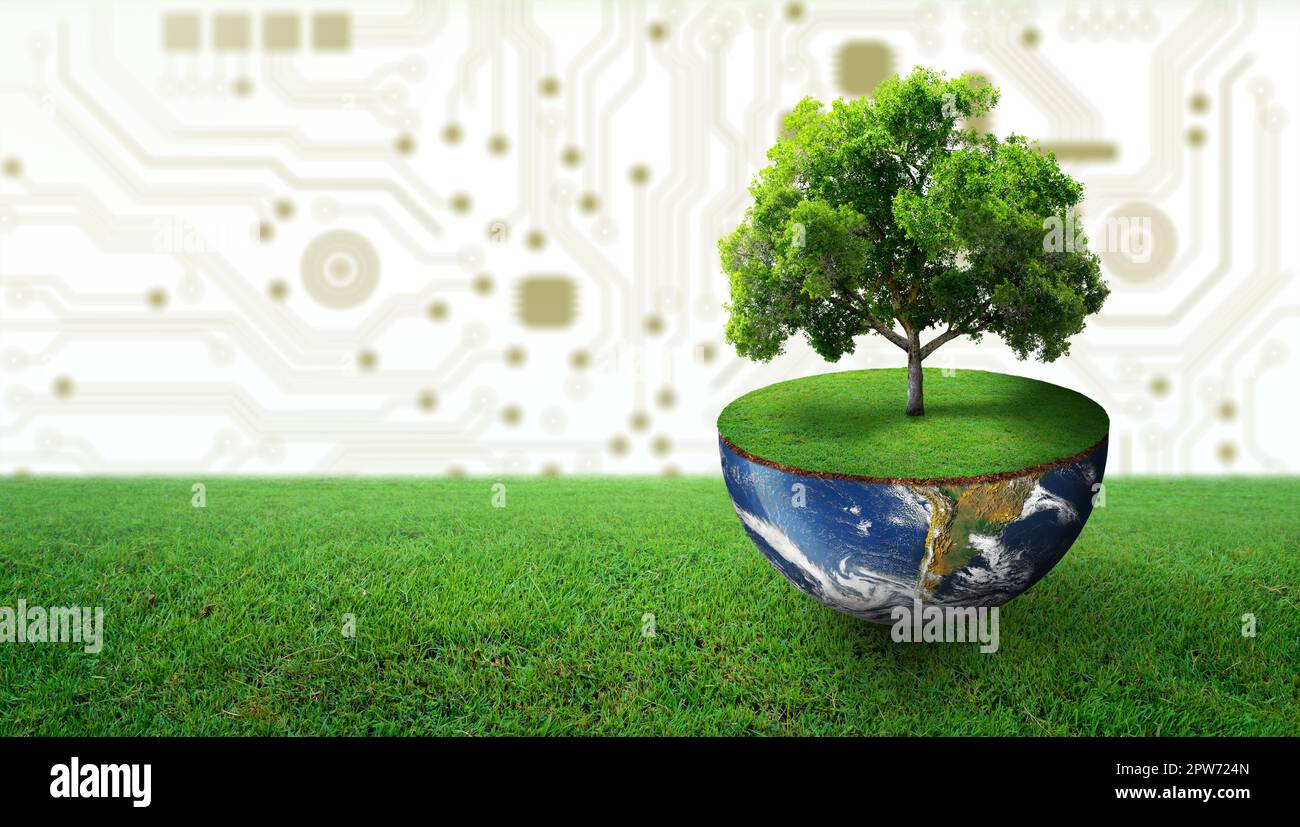 Tree growing on half of earth with green grass. Digital and Technology ...