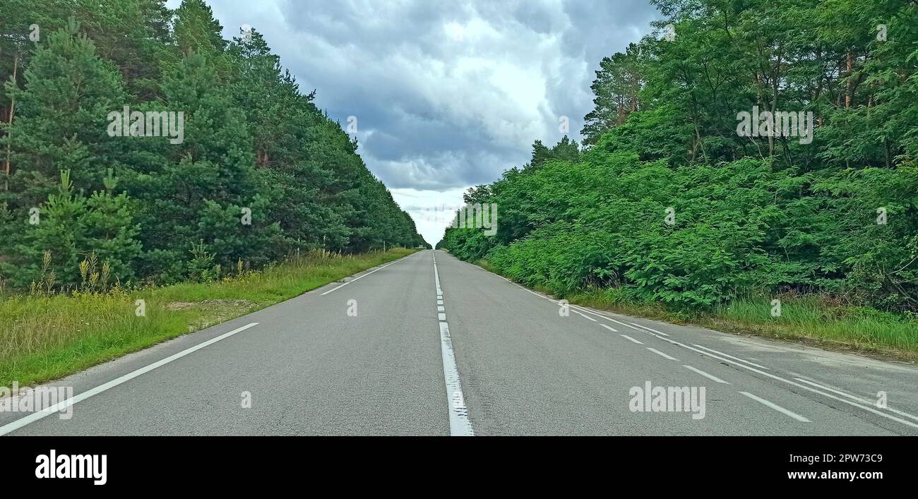 Asphalt empty highway with dividing strip. far ahead in midst of green ...