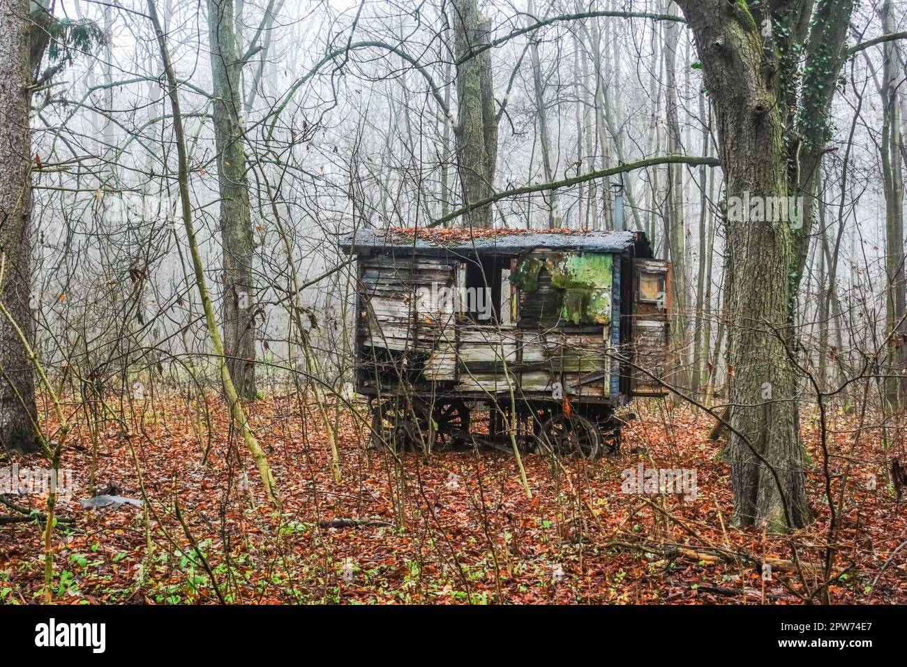 old abandoned wooden railway wagon with oven and in the forest Stock ...