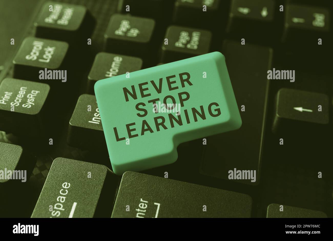 Conceptual display Never Stop Learning, Business showcase Continue to ...