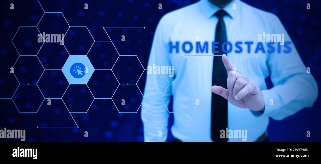 Sign displaying Homeostasis, Business concept the tendency toward a ...