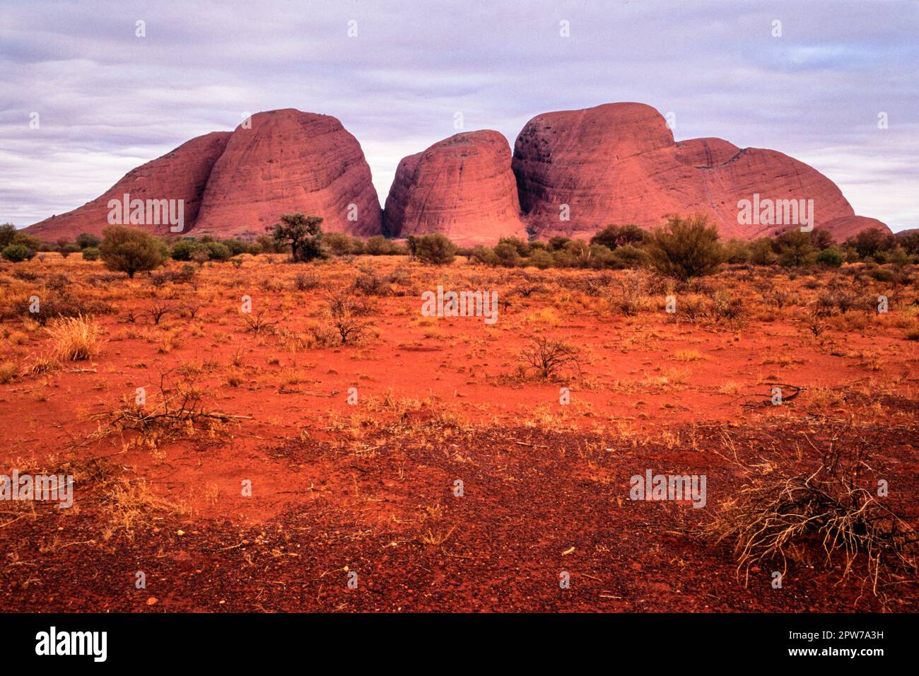 Kata Tjuta / Mount Olga, near Alice Springs, Northern Territory ...
