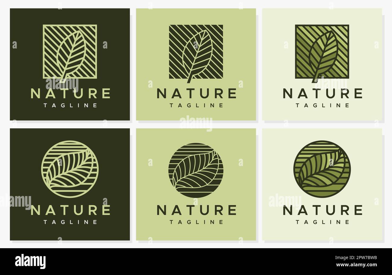 Abstract leaf line logo design collection. Modern leaf logo graphic set ...