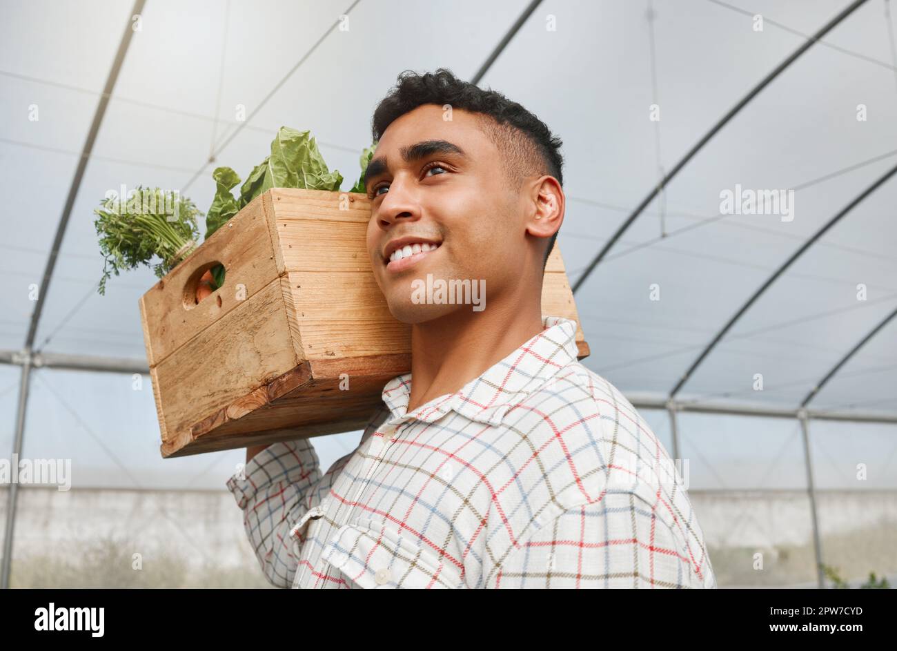 Ive picked a lot today. a young man holding a crate of fresh produce ...