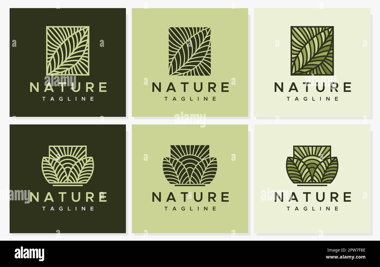 Line leaf logo design collection. Modern nature logo graphic vector ...