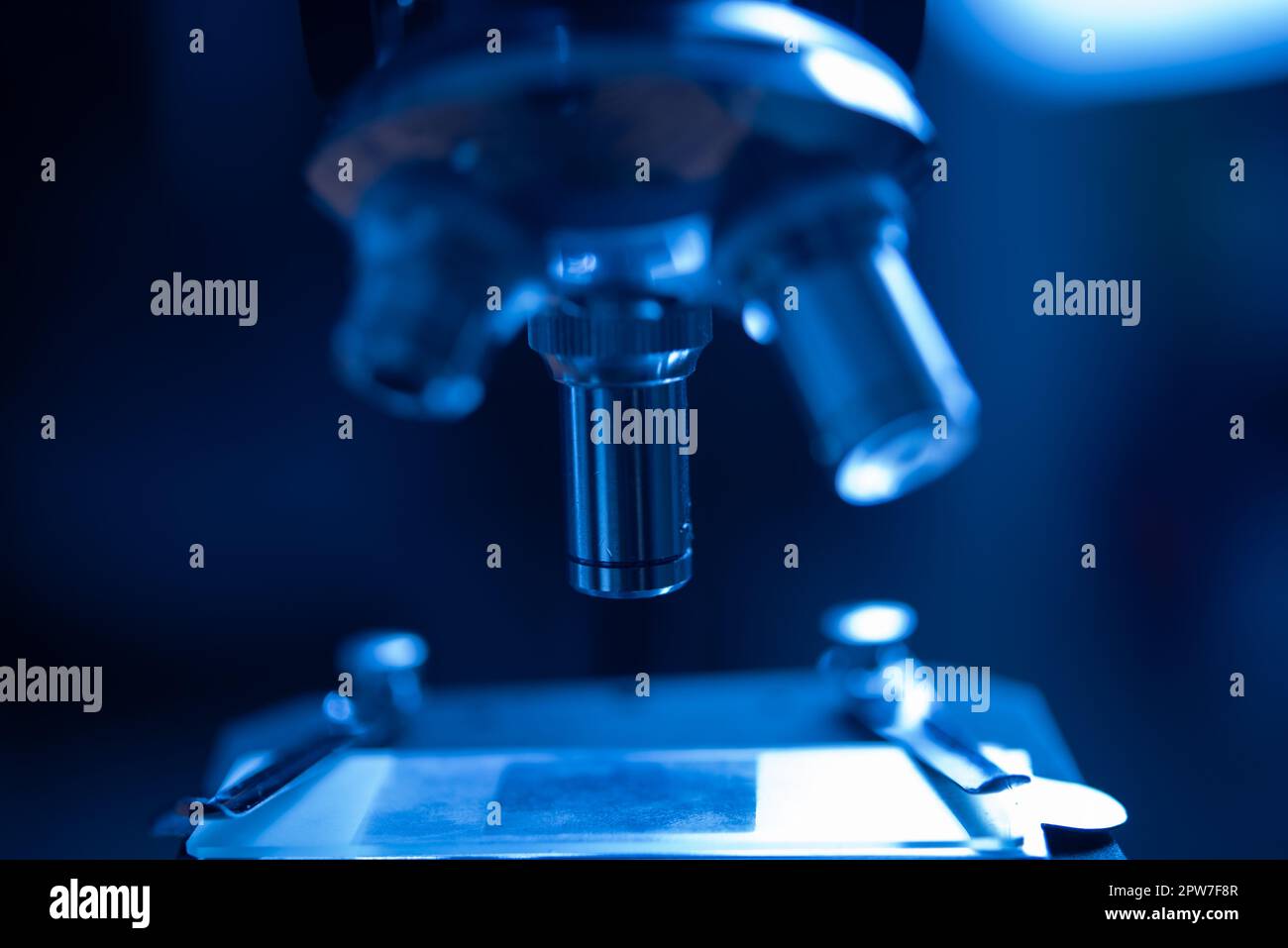 Scientific microscope data analysis in the metal lens at laboratory ...