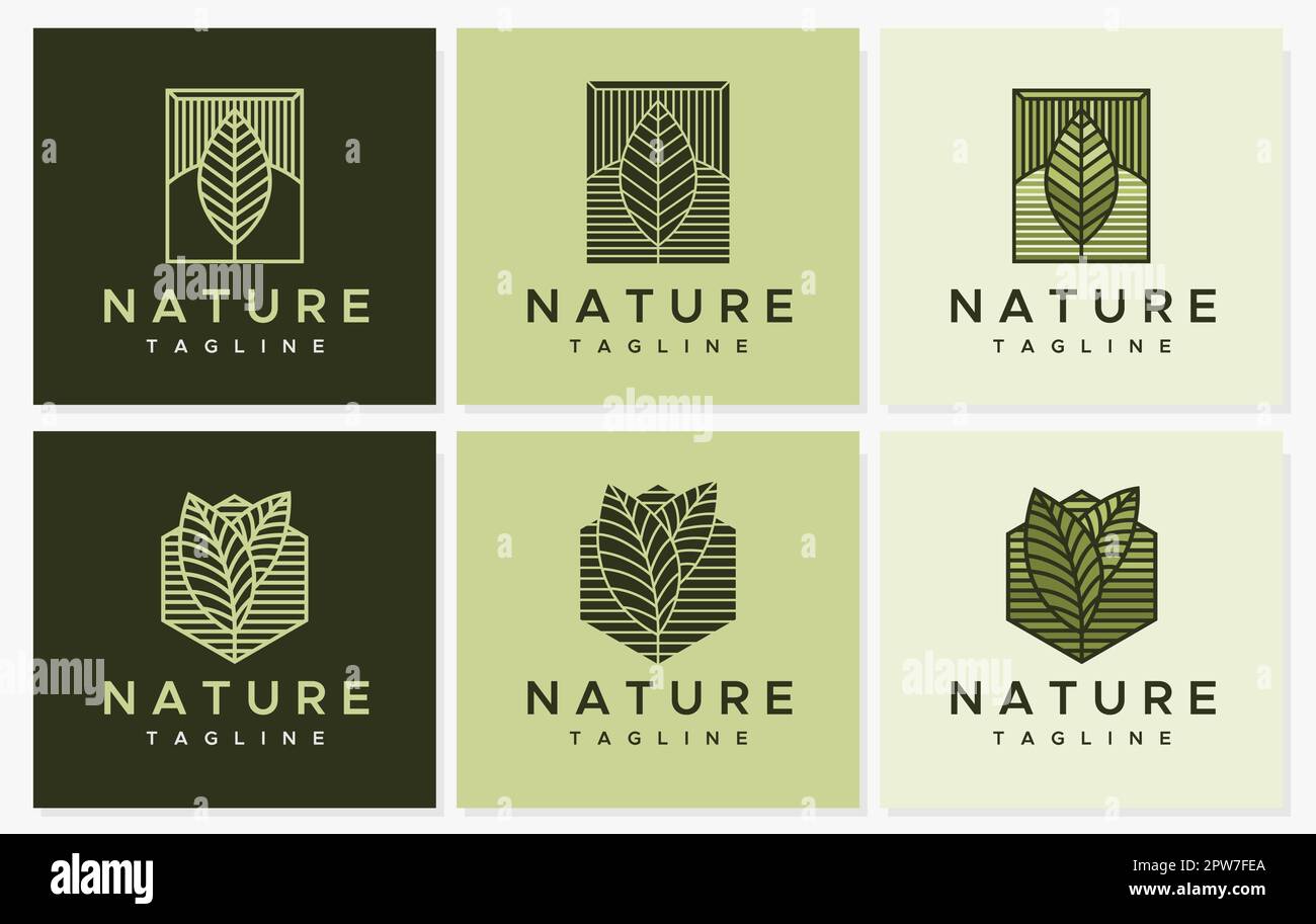 Line leaves logo design set. Plant line logo graphic vector Stock ...