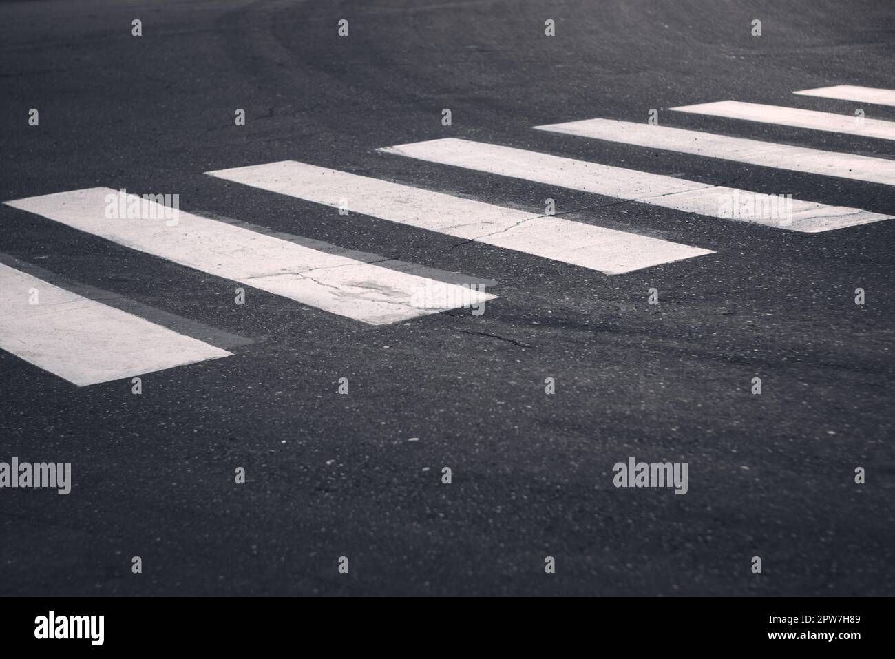 White crosswalk stripes on an city street. Road safety, traffic calming ...