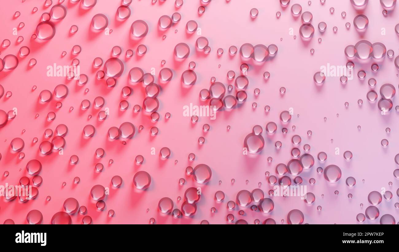 Shiny clear droplets on a pastel pink surface. Fresh, feminine concept ...