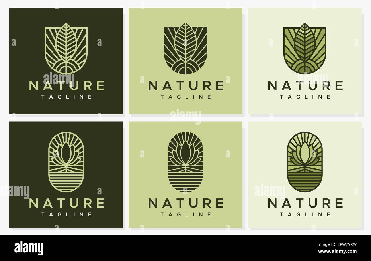 Leaf line logo design template collection. Simple line plant logo ...