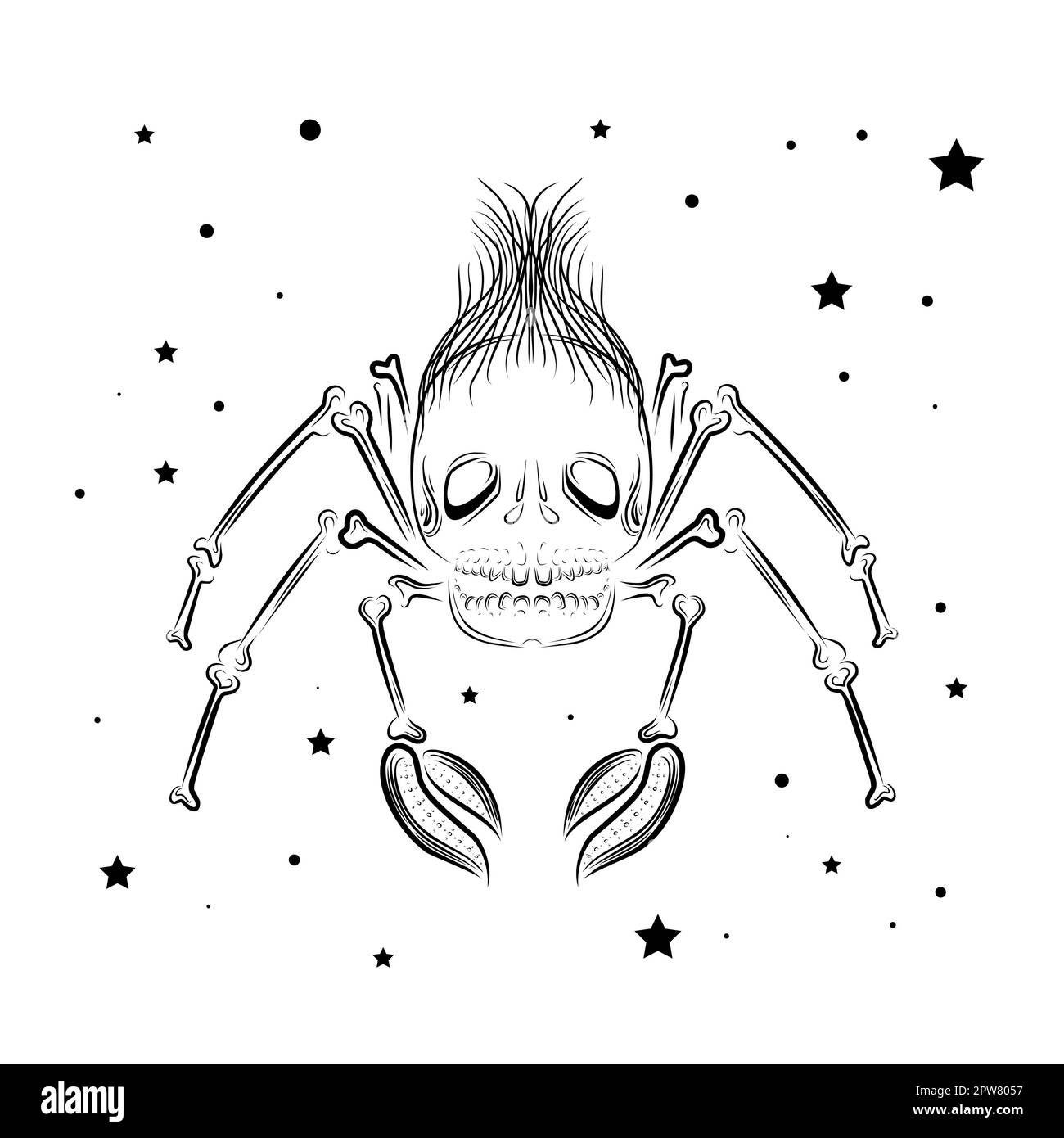 Spider Skull Drawing