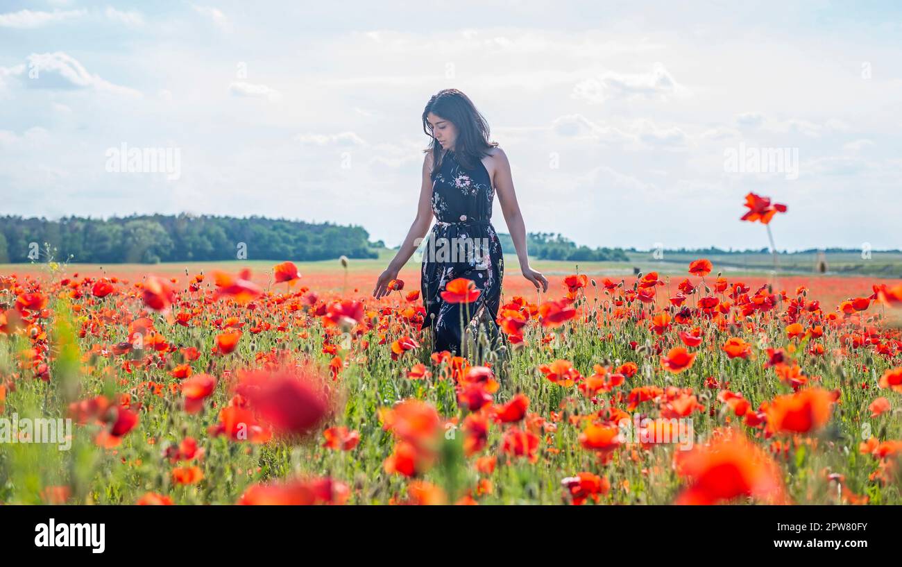sensual young woman in poppy field Stock Photo - Alamy