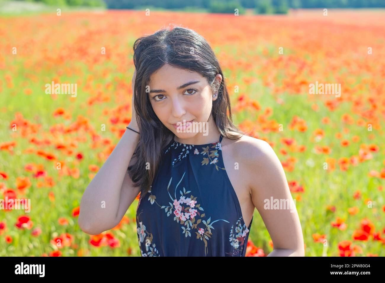 sensual young woman in poppy field Stock Photo - Alamy