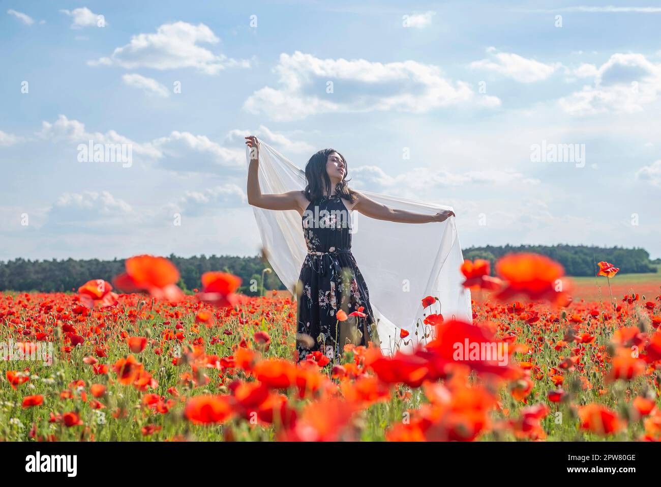beautiful young woman with transparent foil in poppy field Stock Photo ...