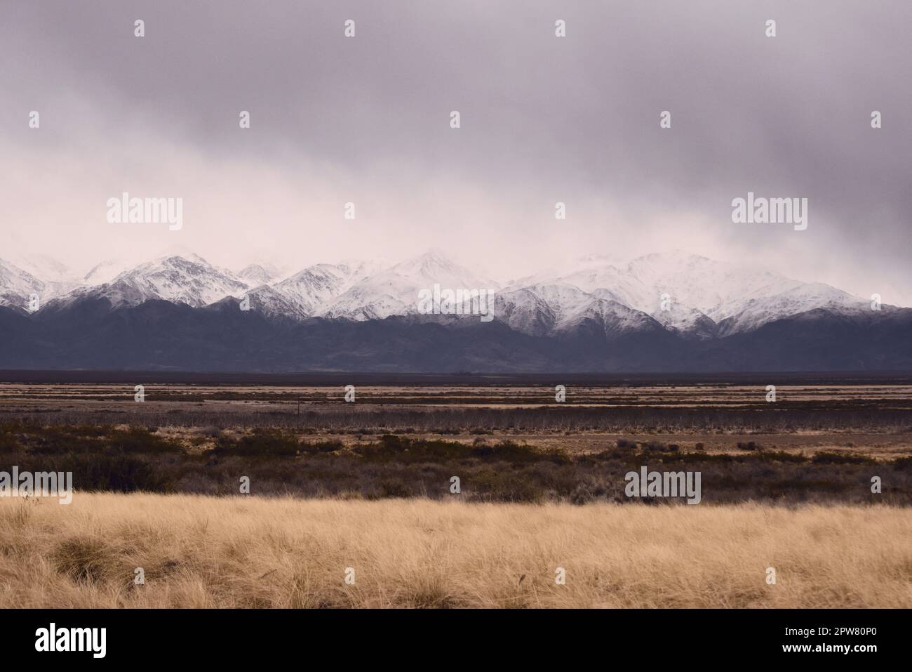 Cold, dry grasslands by the snowy Andes mountains, in Tupungato ...