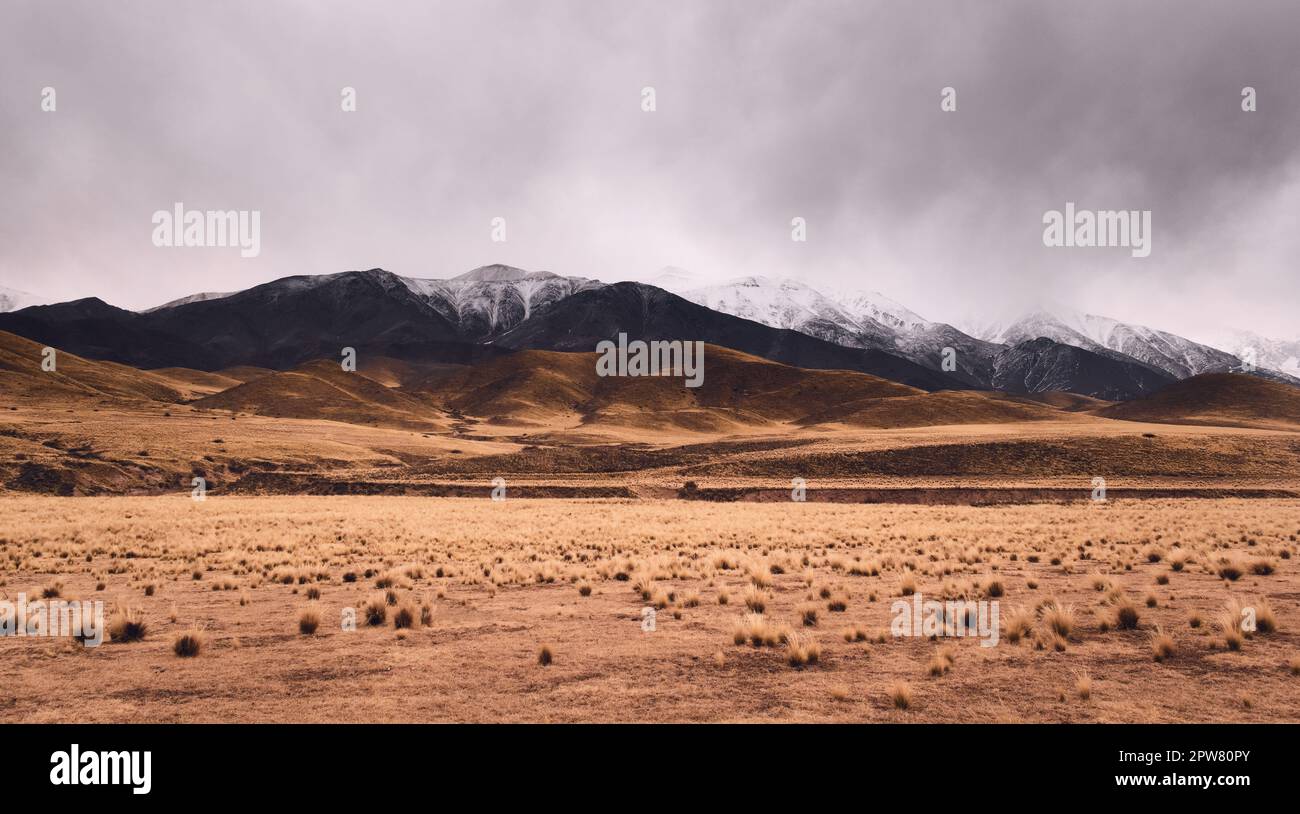 Dry grassland with rolling hills by the snowy Andes mountains in Valle ...